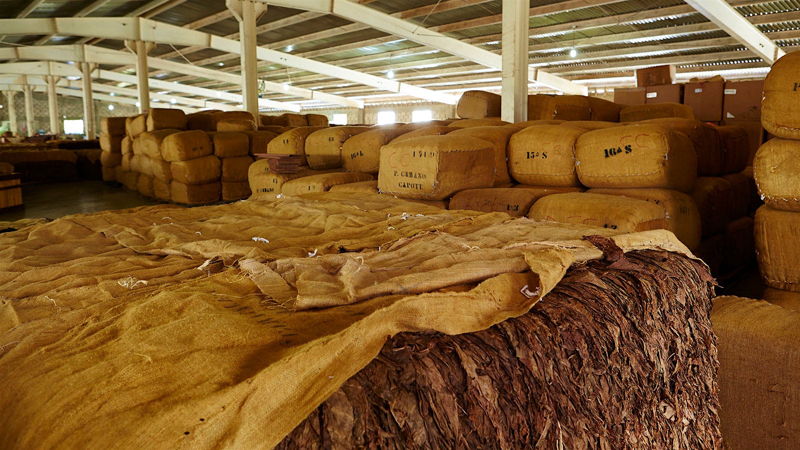 Casing the Cigar | Cigar Aficionado