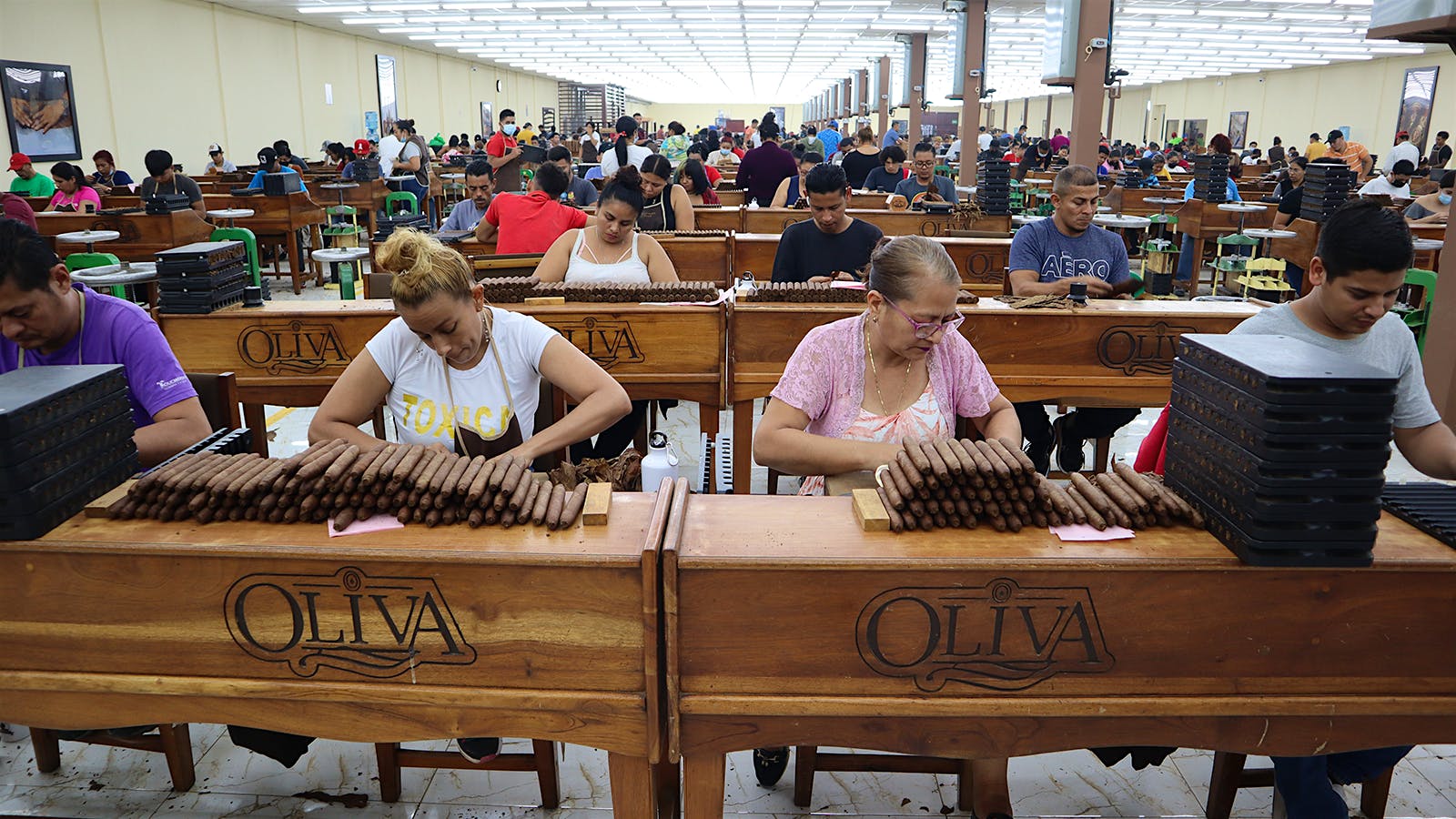 Touring The Factory And Fields Of Oliva | Cigar Aficionado