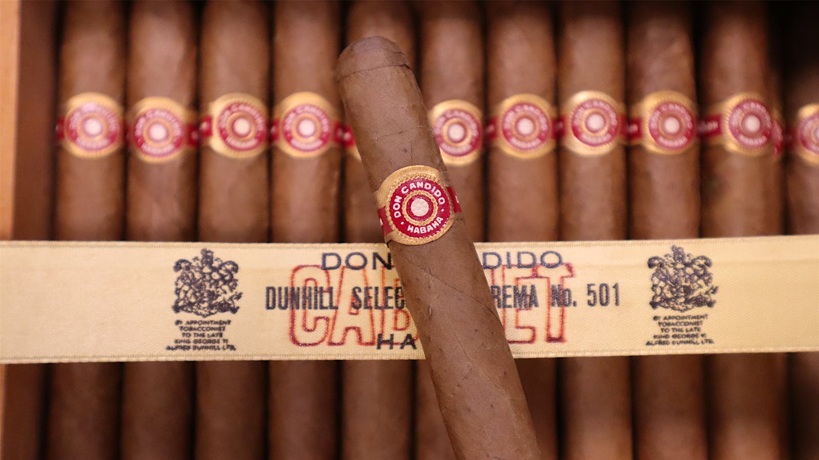 Smoking A Don Candido 501 From Long Ago | Cigar Aficionado