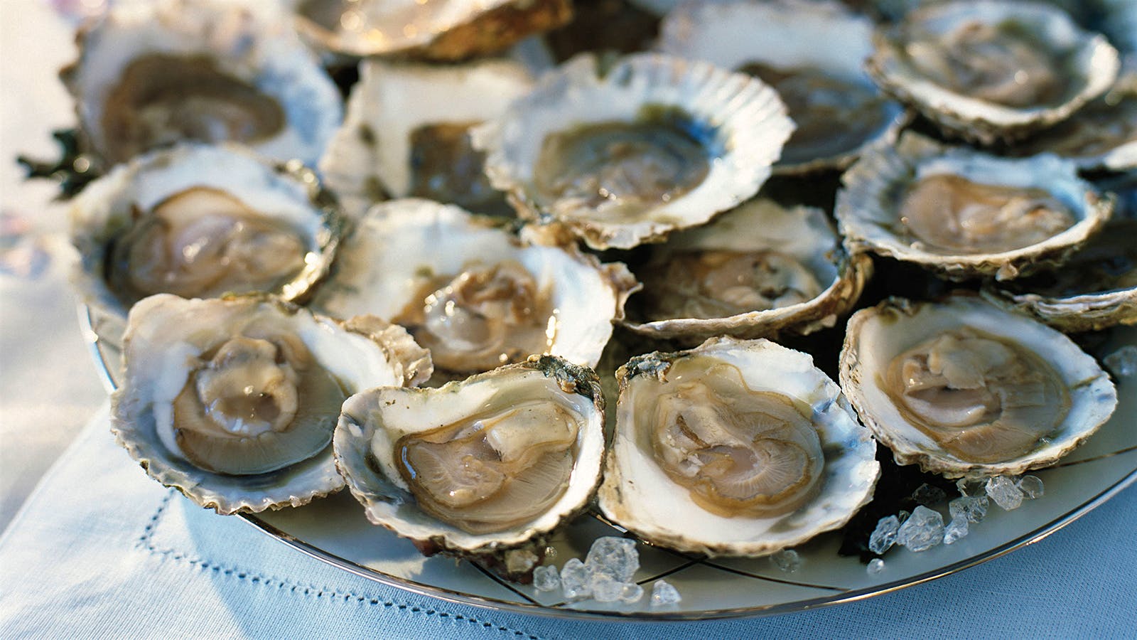 Belon Oysters | Cigar Aficionado