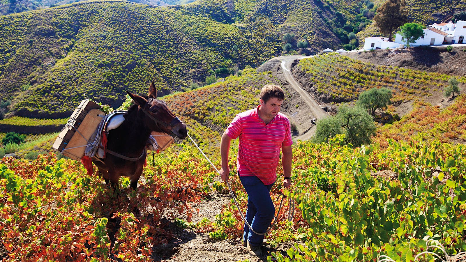 10 Tempting Spanish Values