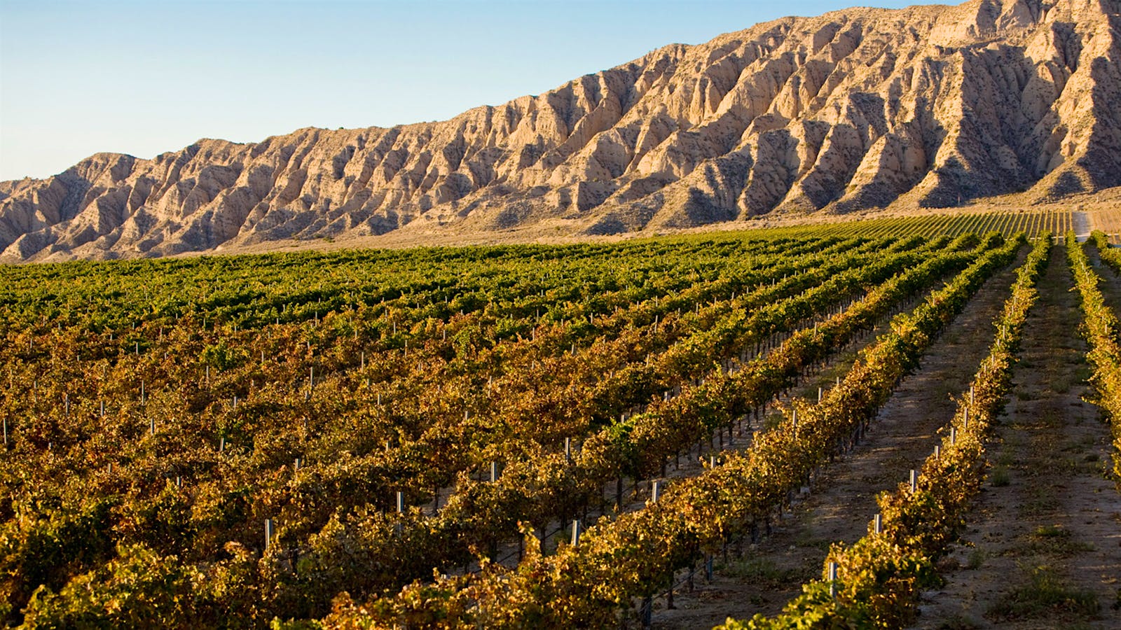 California Winery Owner Selim Zilkha Fights to Cure Alzheimer’s Disease ...