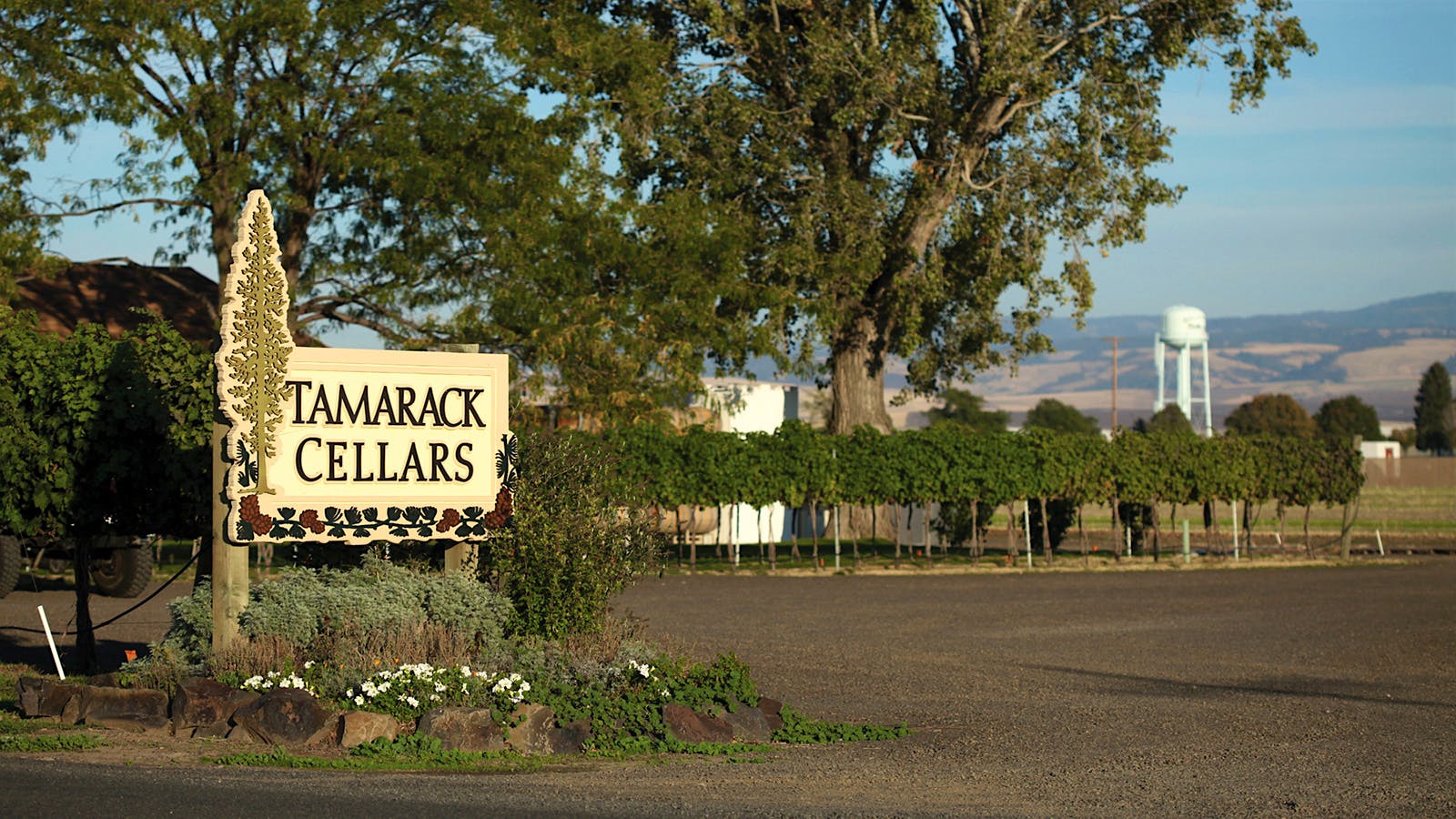 7 Expressive Washington Red Wines