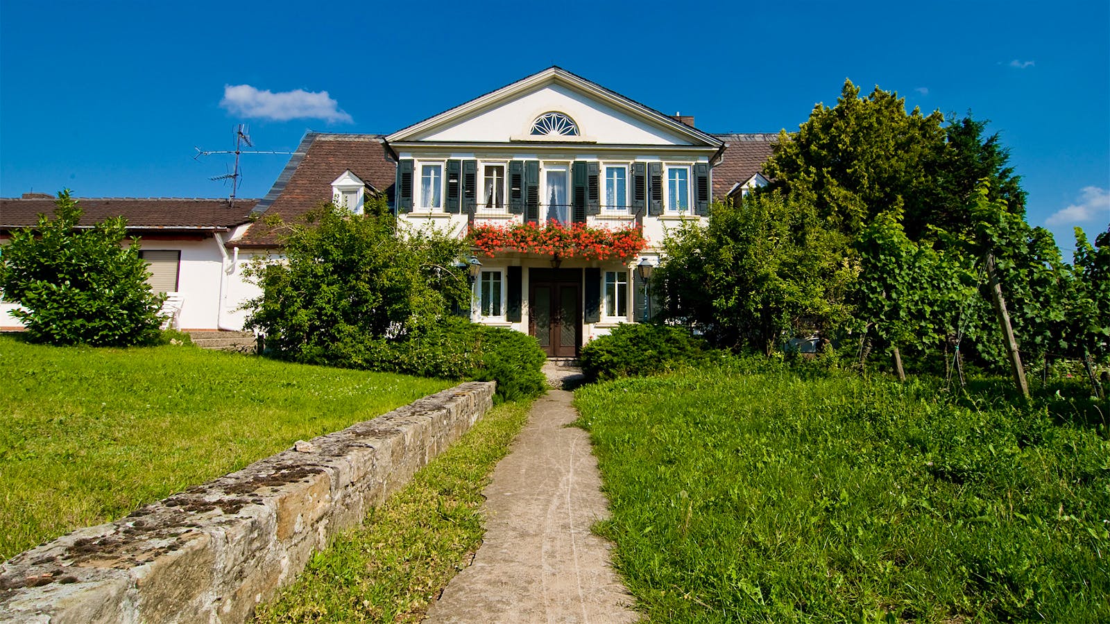 6 German Wines that Look Beyond Riesling