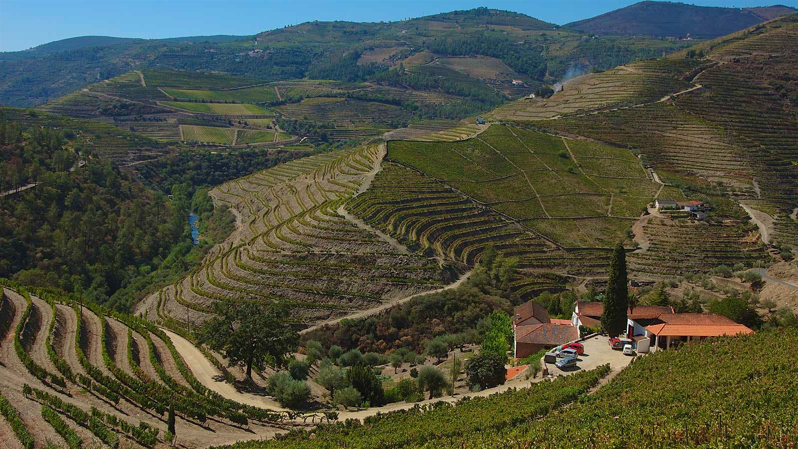 Portugal's Quinta do Noval Buys Douro Wine Neighbor Quinta do Passadouro