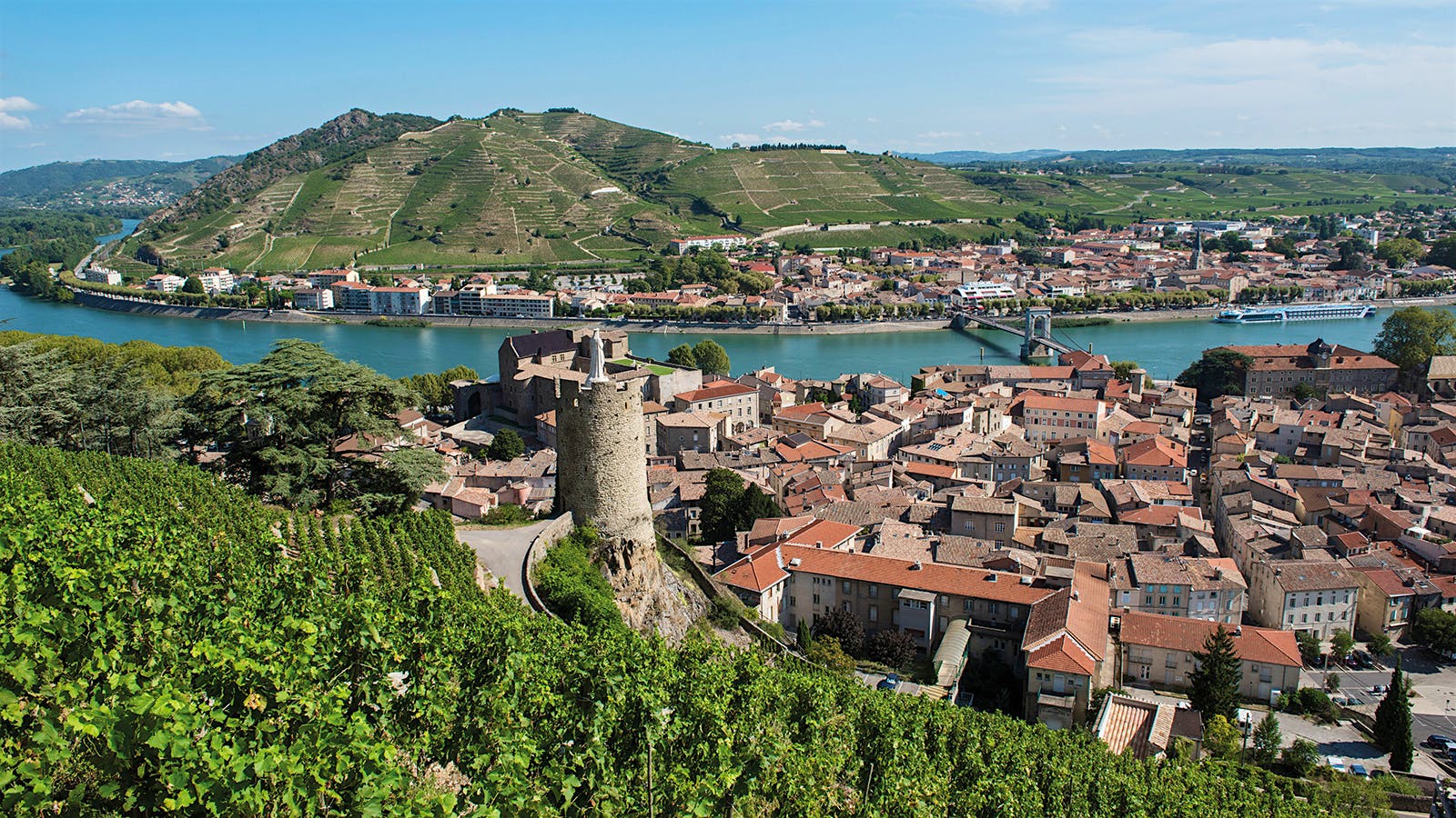 Tasting Highlights: 8 Exciting Rhône Wines