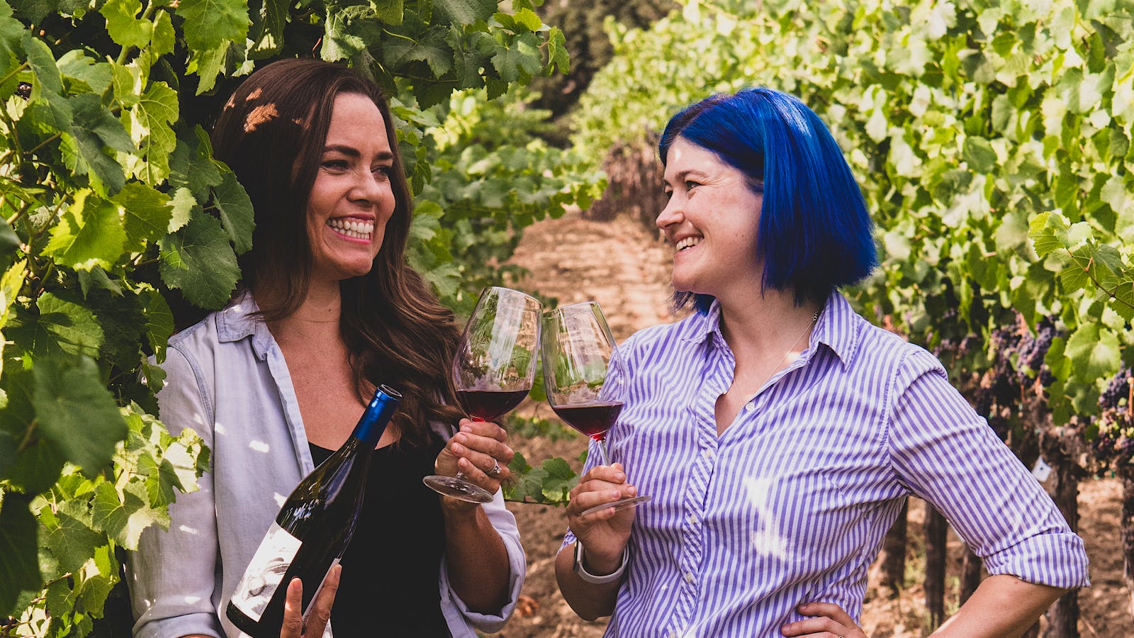 Napa Valley Flip-Turn: Olympic Champion Natalie Coughlin's Gaderian Wines