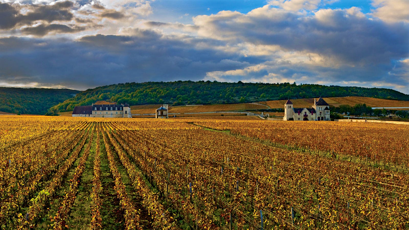 Insider Weekly Newsletter—Feb. 16, 2022, Edition