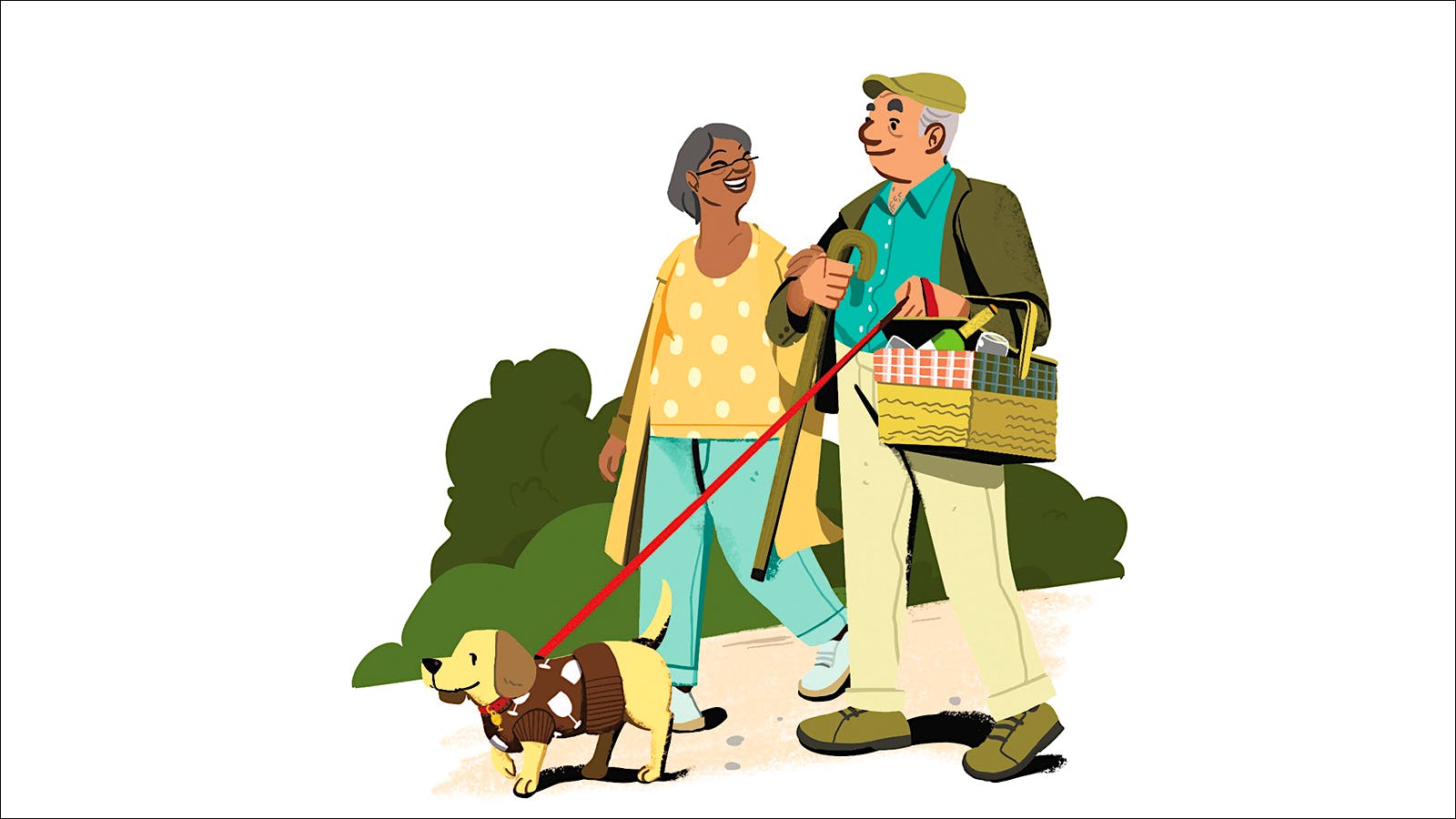 Wine And Time Aging And Geriatric Health 