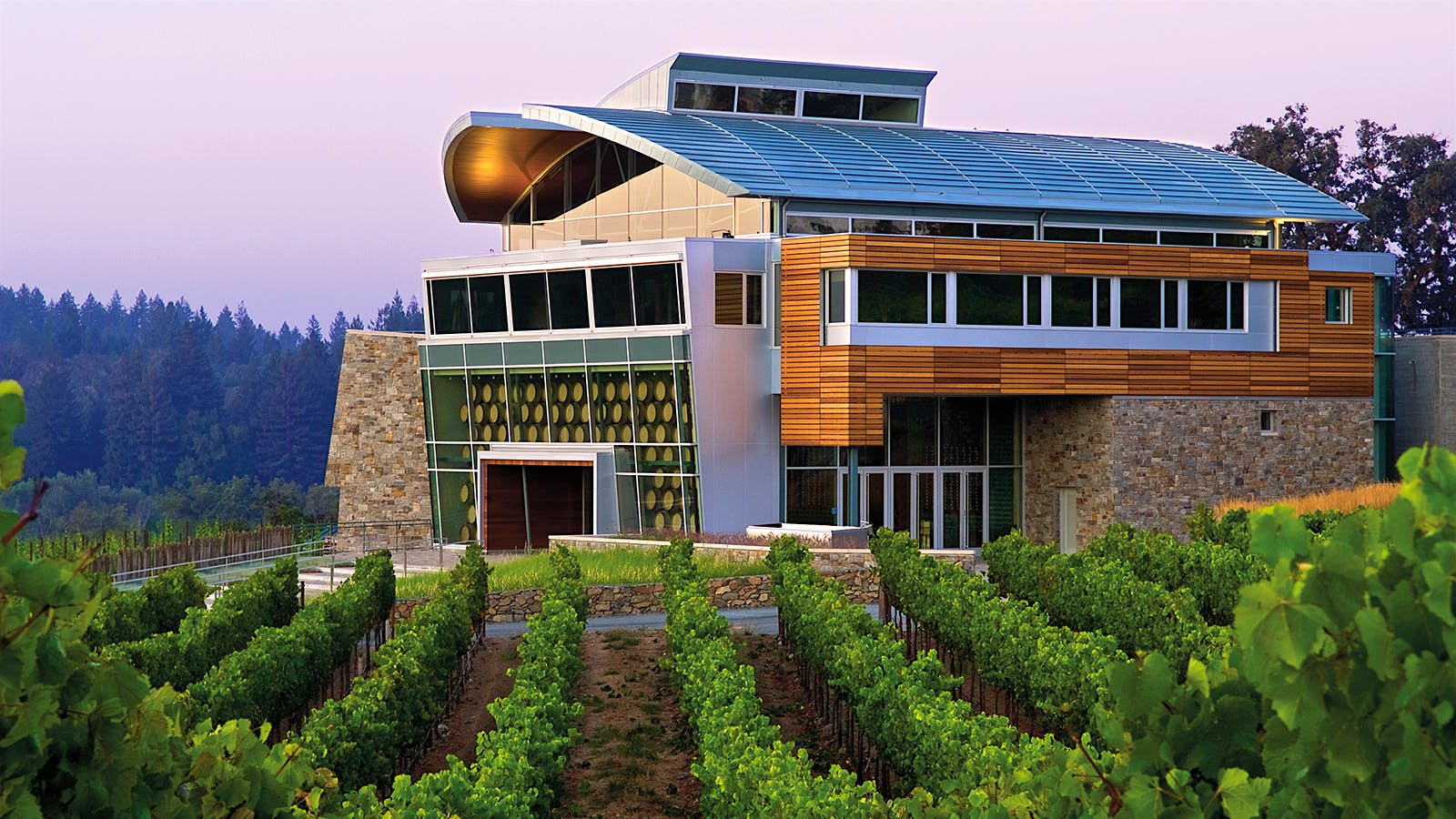 Tasting Highlights: 7 Sensational California Wines at 90+ Points