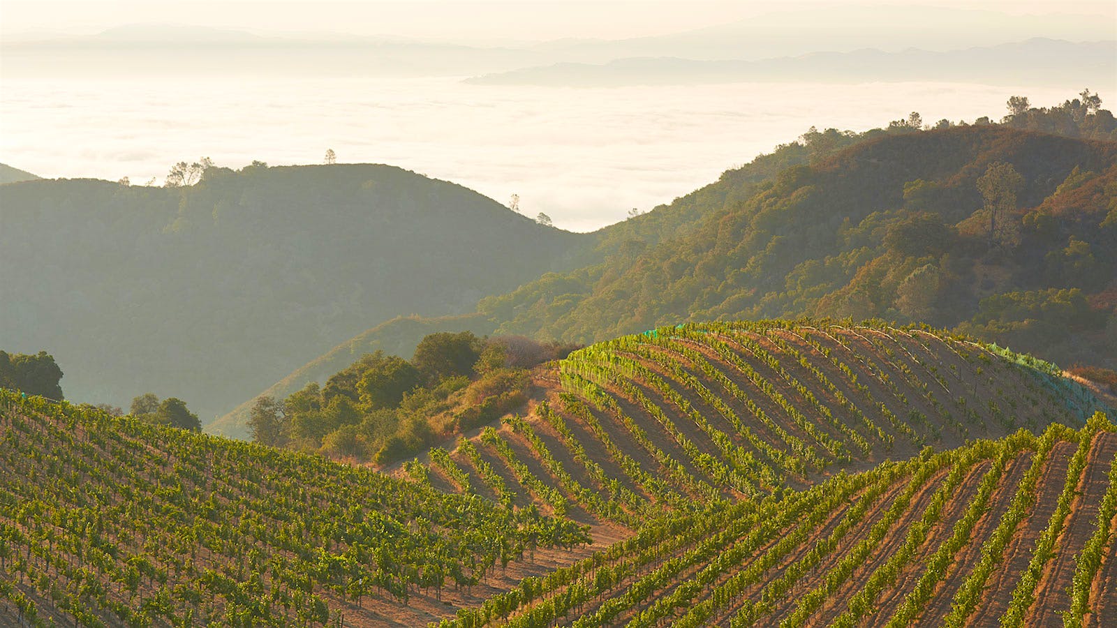 Advance: September 30, 2024