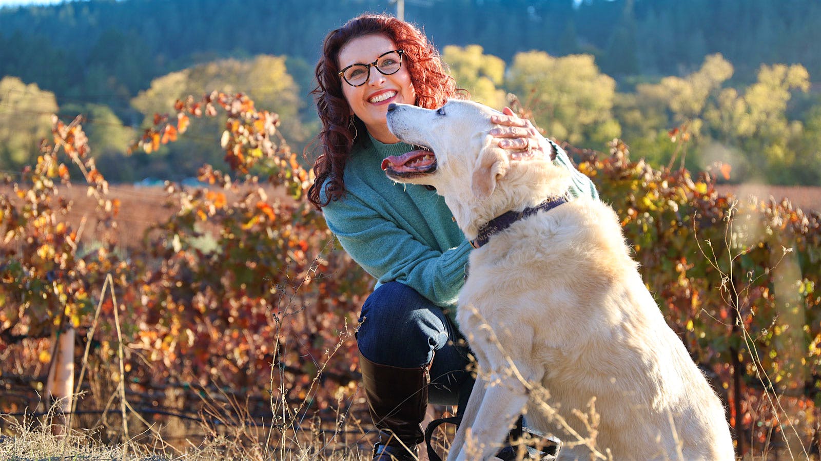 Wine’s Best Friends: Dogs of California Wine Country