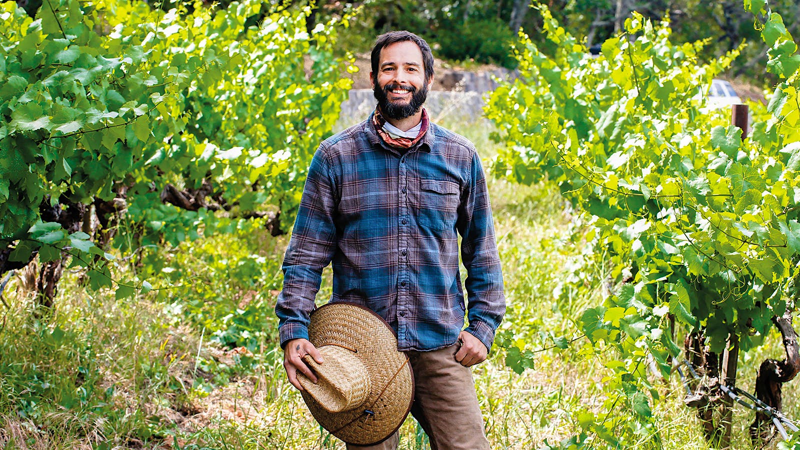 A New Era for California's Hanzell Winery | Wine Spectator