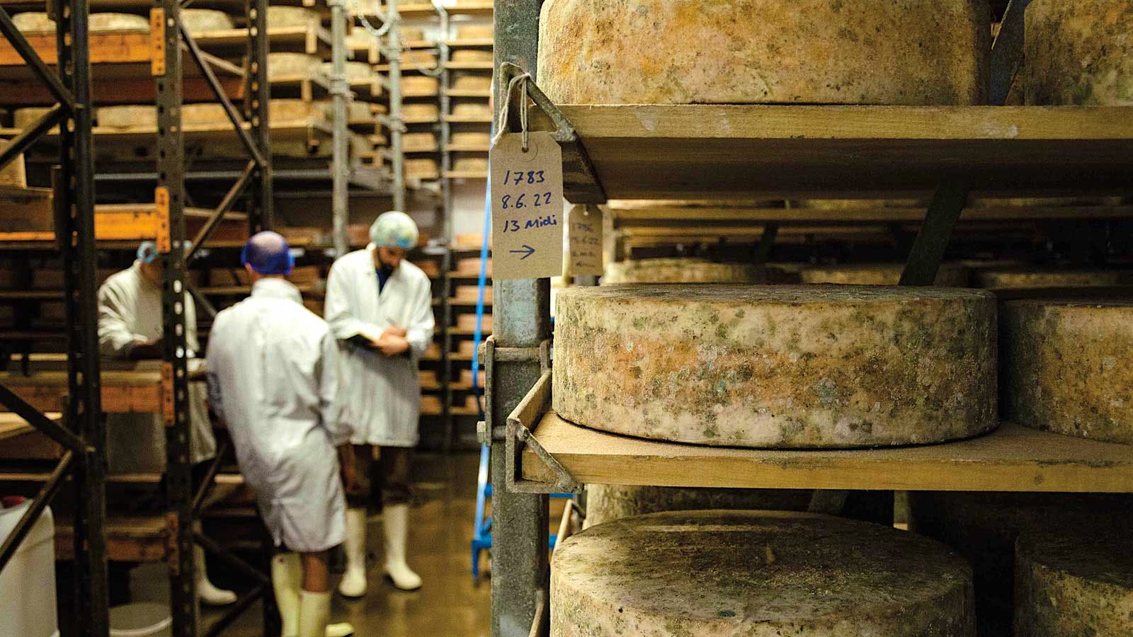 Affinage: The Art of Aging Cheese