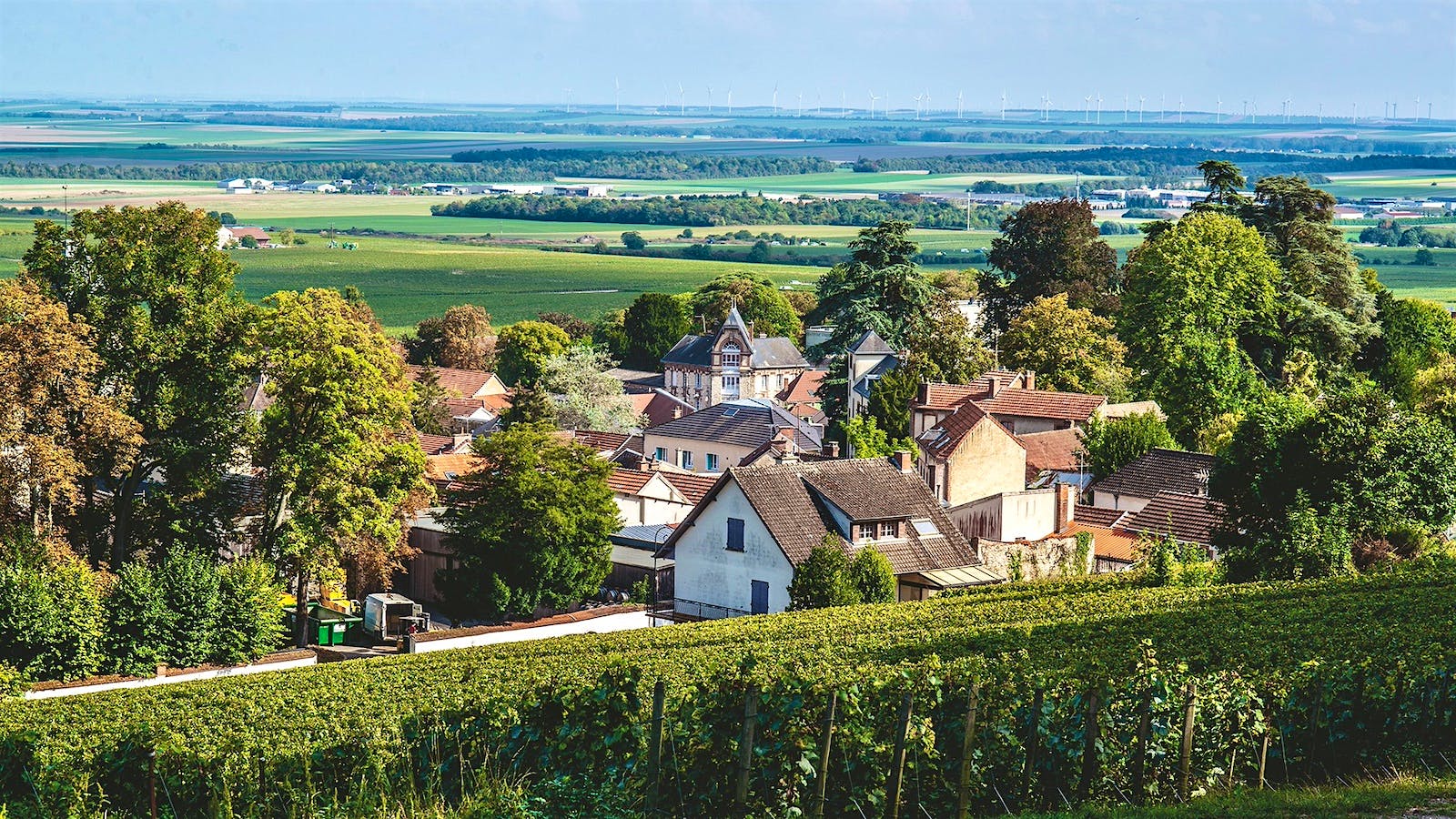 Alphabetical Guide to Champagne